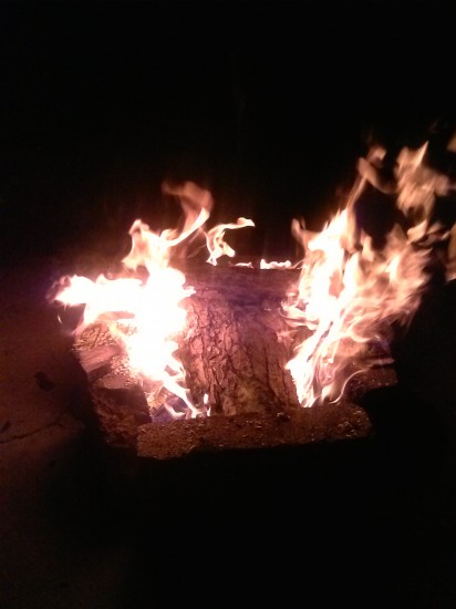 Mystwalker (@Mystwalker) | Minds