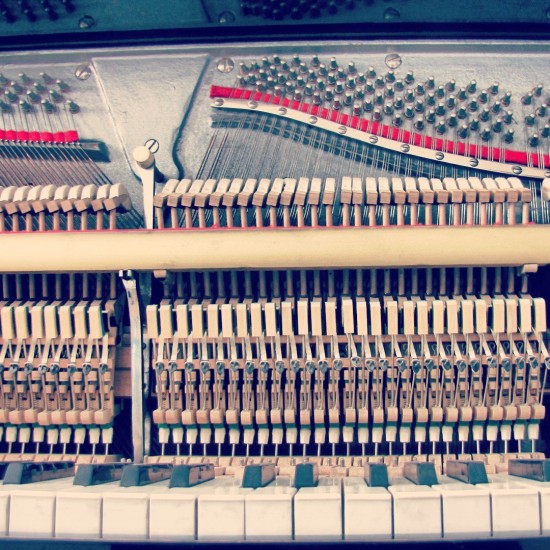 LvsD (@LvsD) | Minds