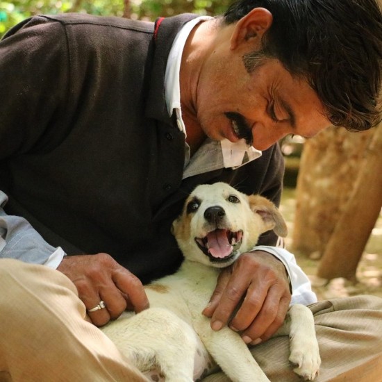 Animal Aid Unlimited, India (@AnimalAidUnlimited) | Minds